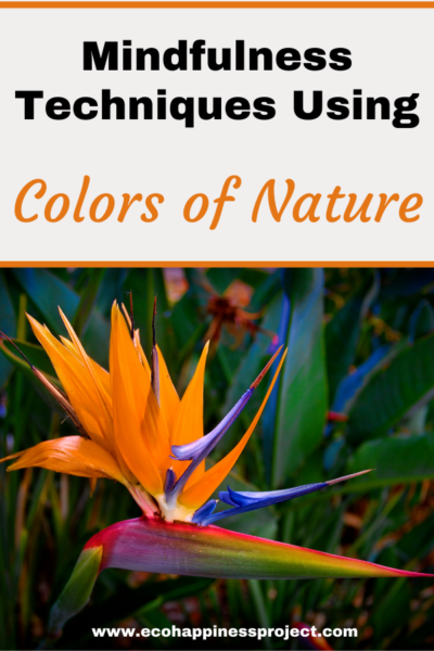 Mindfulness Techniques Using the Colors of Nature - Ecohappiness Project